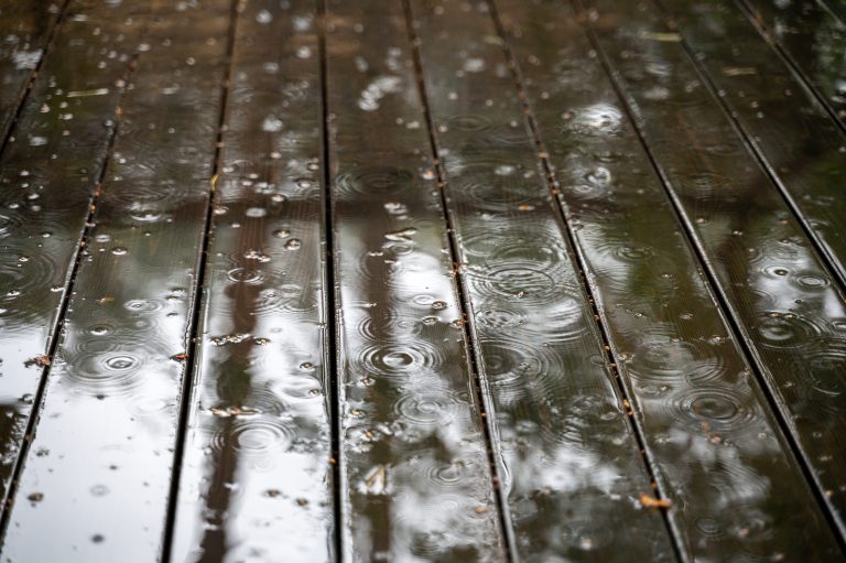 Thermoholz erklärt: Eigenschaften, Vorteile und Anwendungen